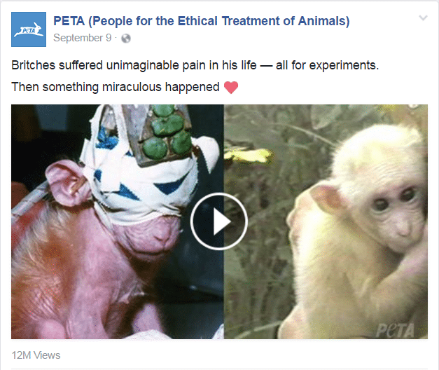 PETA, Animal Rights Groups Lead Nonprofits on Facebook During Q3 as ...