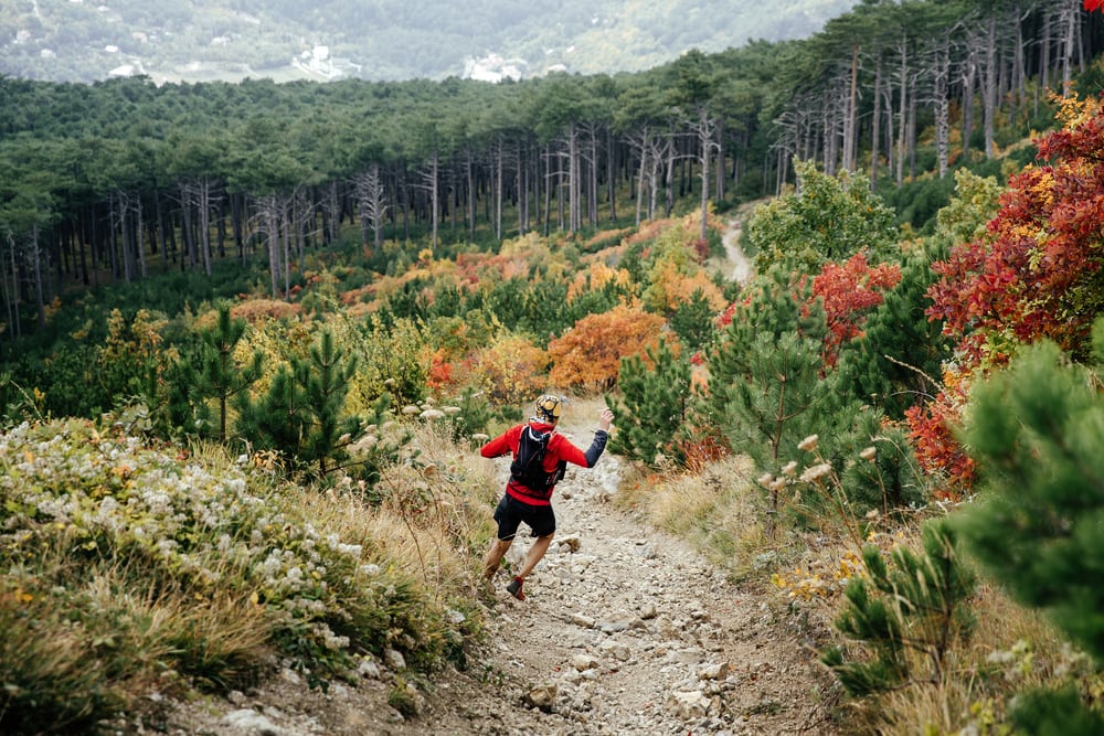 To Avoid Gaffes, Monitor Culture Constantly